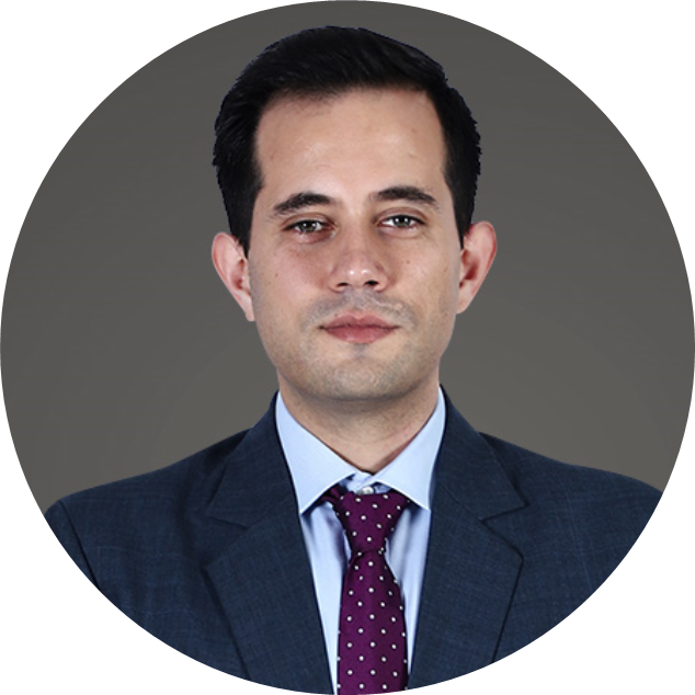 Foreign Investment Legal Landscape in India | Chambers Expert Focus